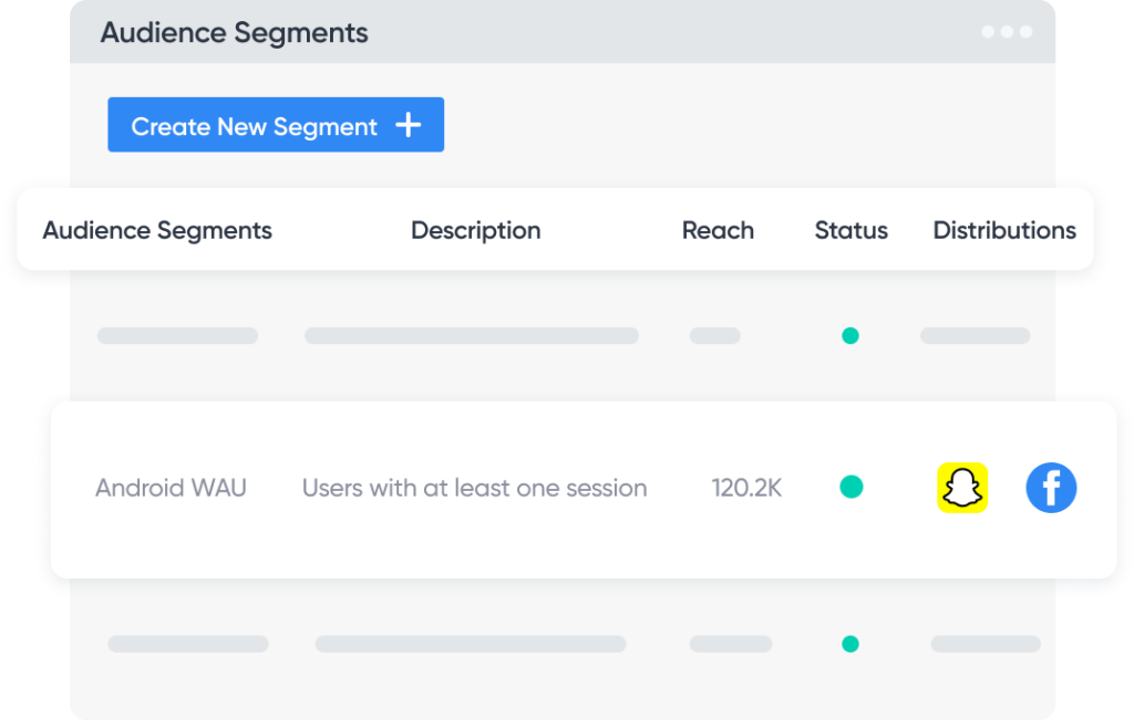 Audience Management & Insights | Singular